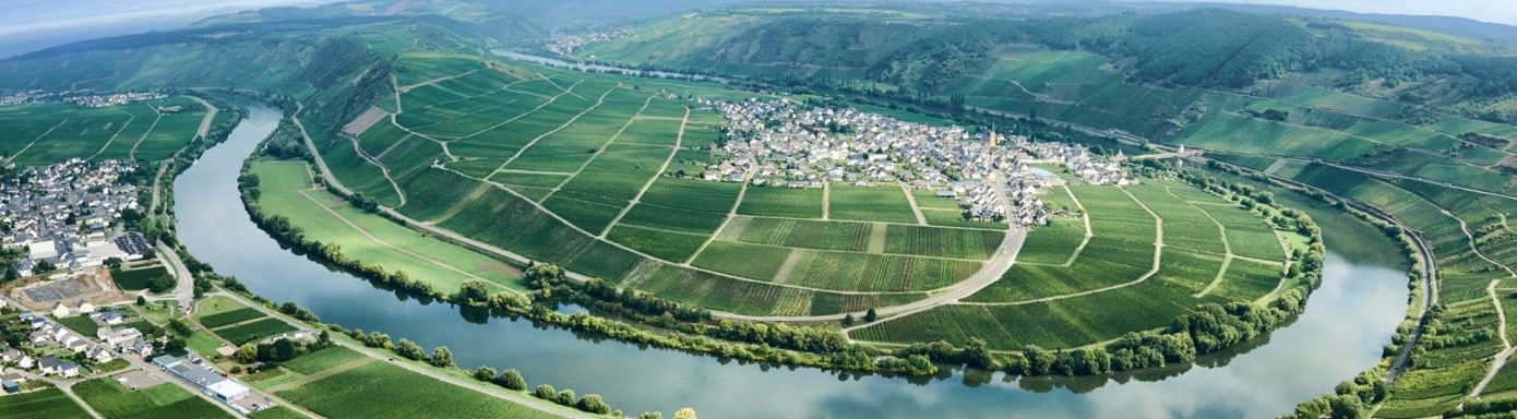 Weingut – Weingut Rosch